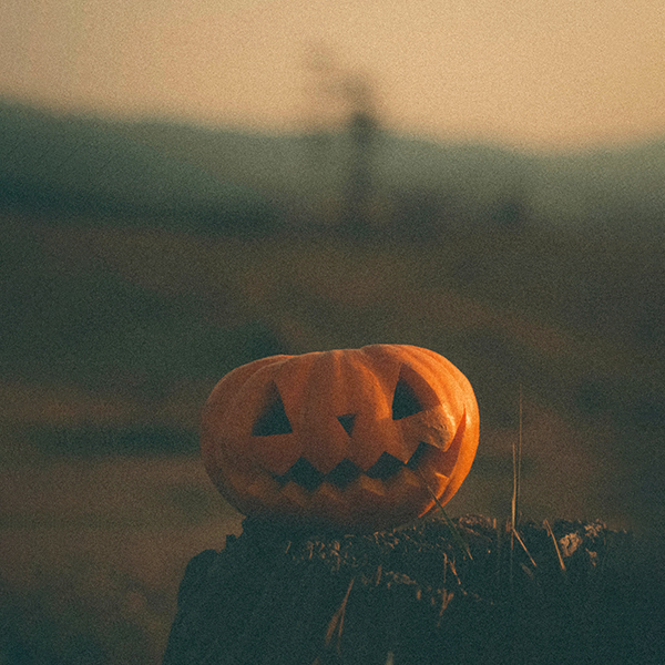 Pumpkin Thumbnail - Toyota Parts Direct