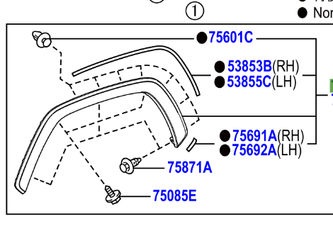 Toyota Rav4 2018- Moulding Sub-Assy, Front Fender, RH - Toyota Parts Direct